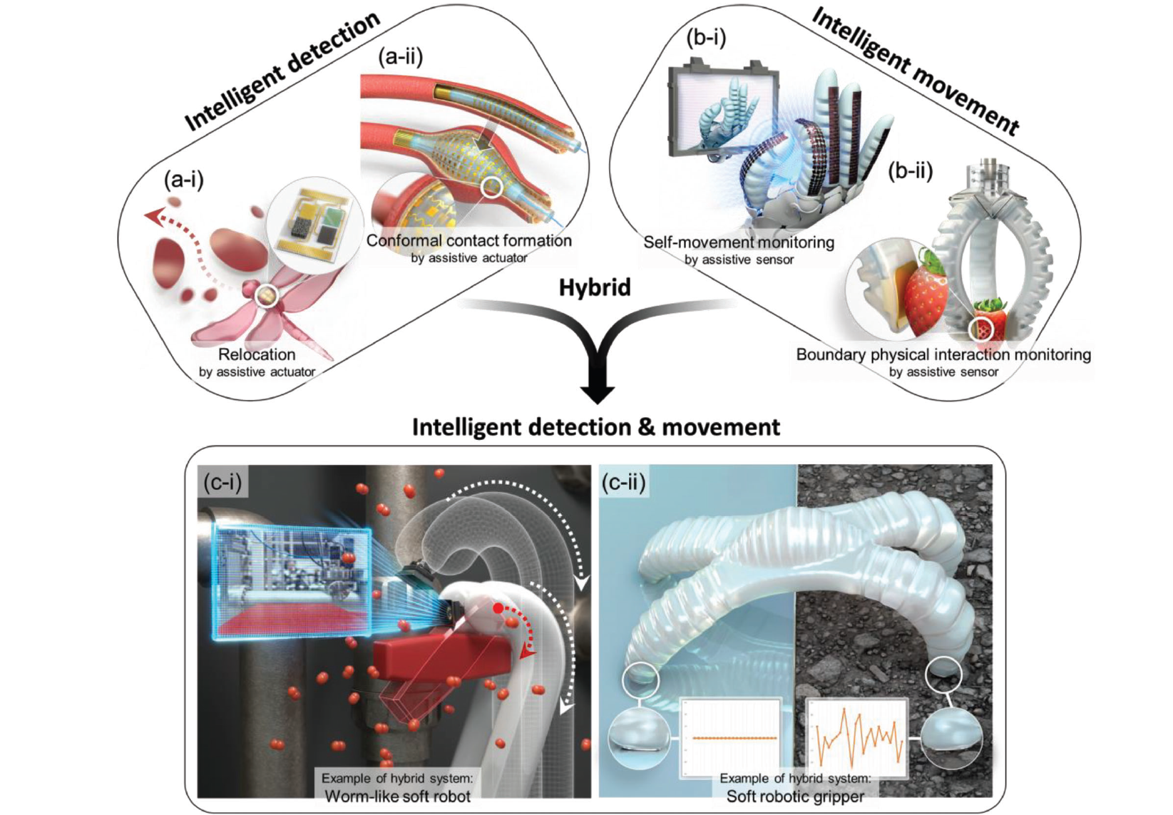 Chankyu (Charlie) Han